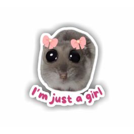 I Am Just A Girl Sticker – Funny, Sarcastic, | Print-On-Click